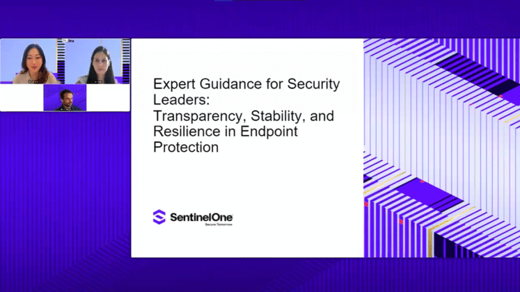 Expert Guidance for Security Leaders: Transparency, Stability, and ...