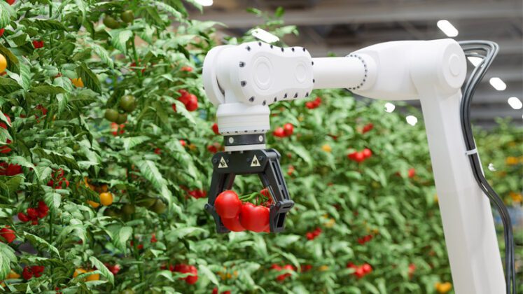From Stationary Arms to Humanoids: The Journey of Mobile Robotics ...